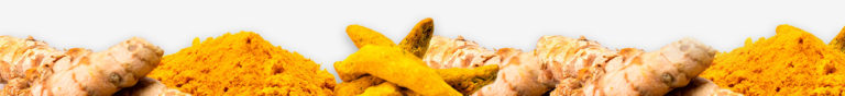 Home : Turmeric World