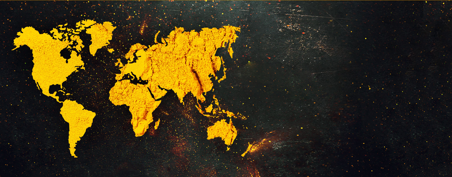 Home : Turmeric World